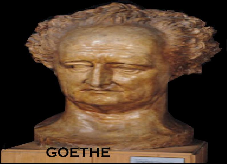 BIOGRAFÍA DE ESCRITORES: JOHANN WOLFGANG VON GOETHE (1749 – 1832)