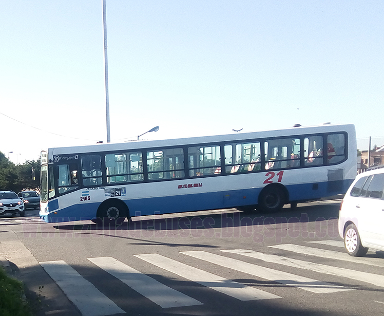 Colectibus - Zona de Buses: LINEA 21