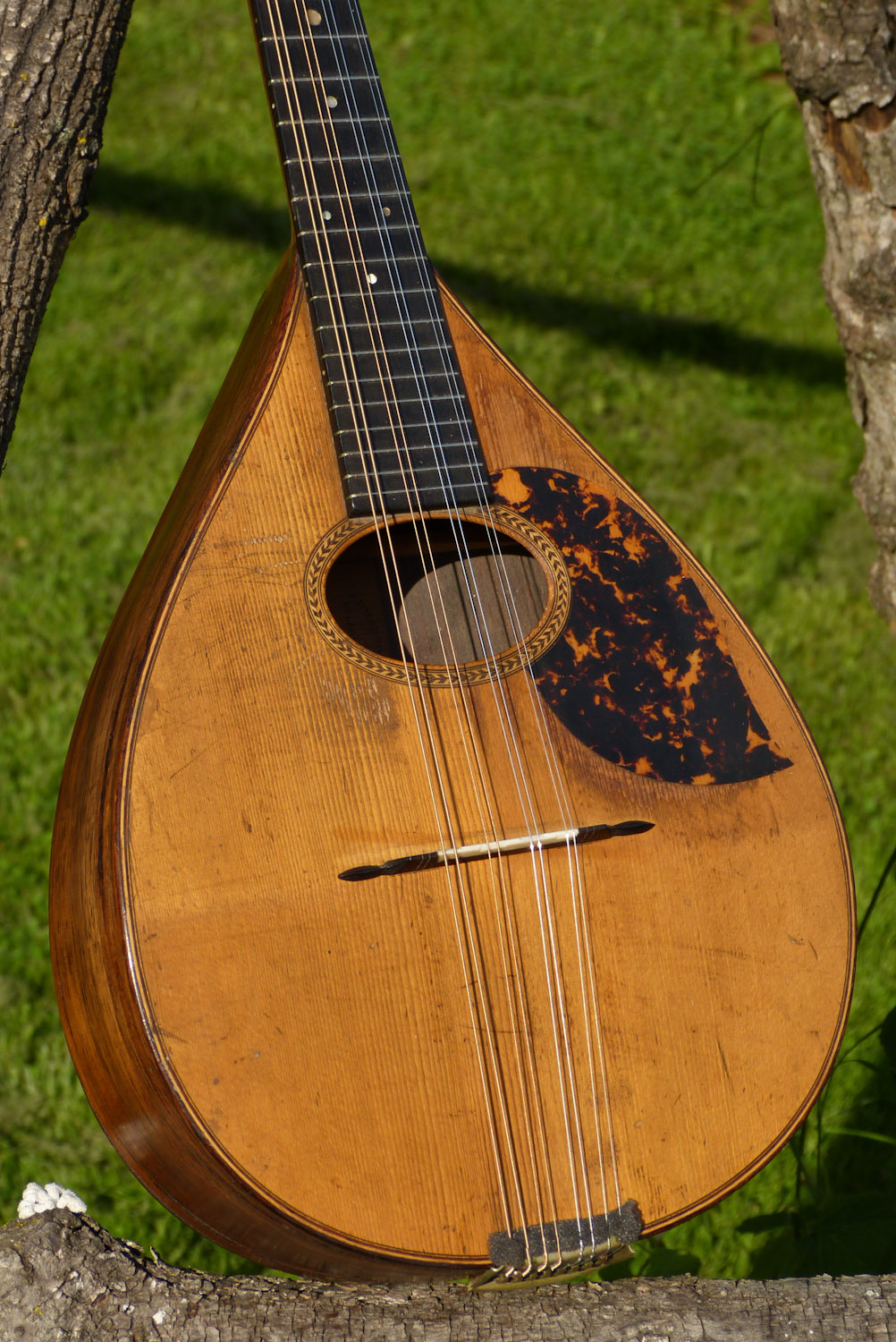 1914 Martin Style B Flatback Mandolin