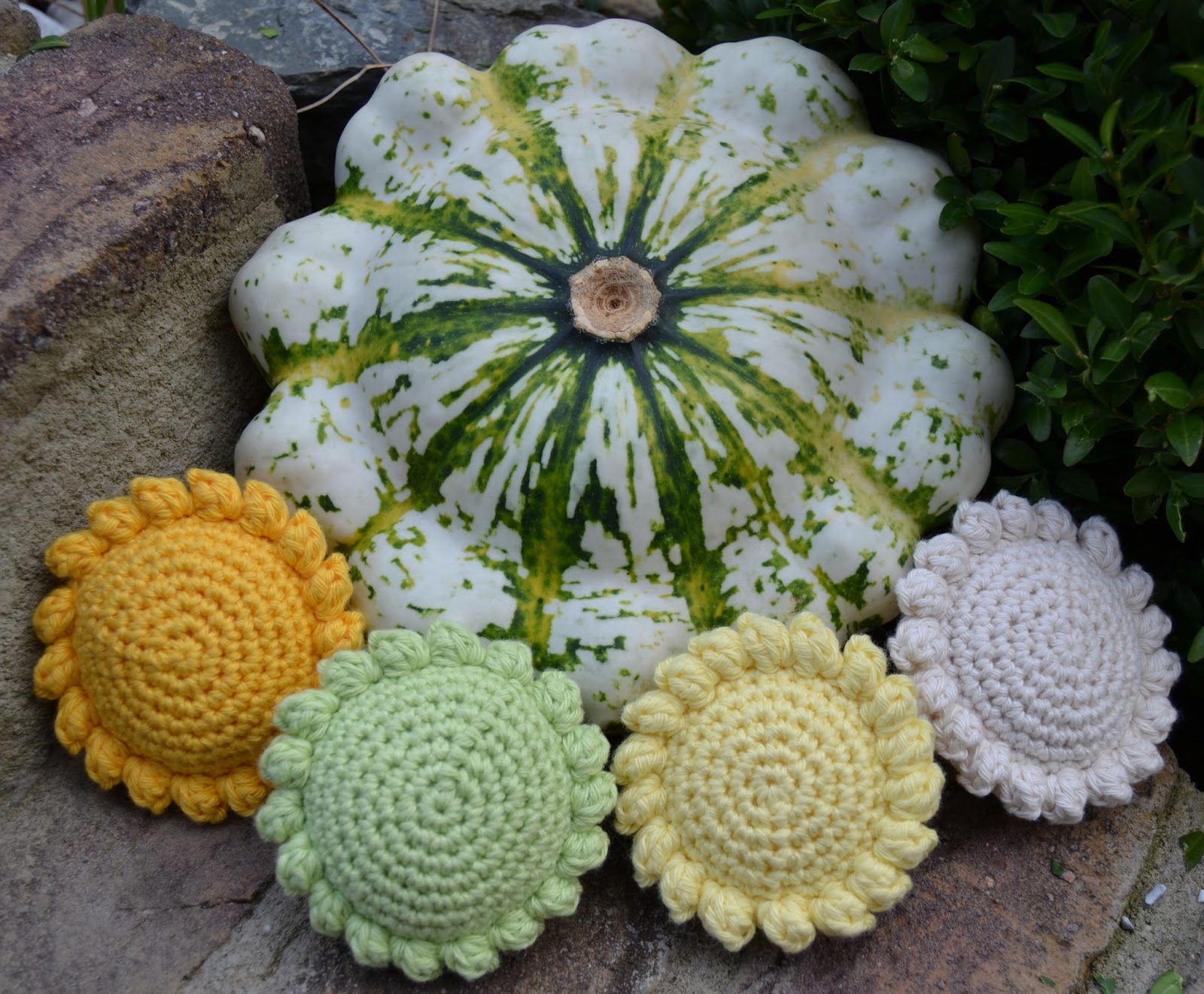 Pattypan Squash (Tutorial) – Patisson Kürbis (mit Anleitung)