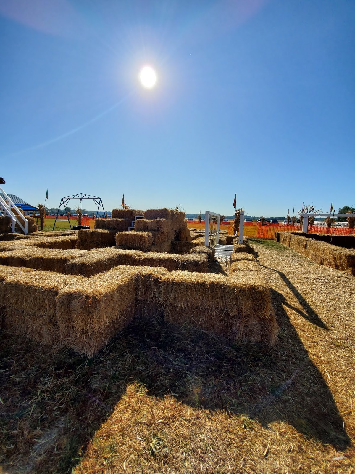 Play St. Louis: Thies Farm (Pumpkinland), Maryland Heights