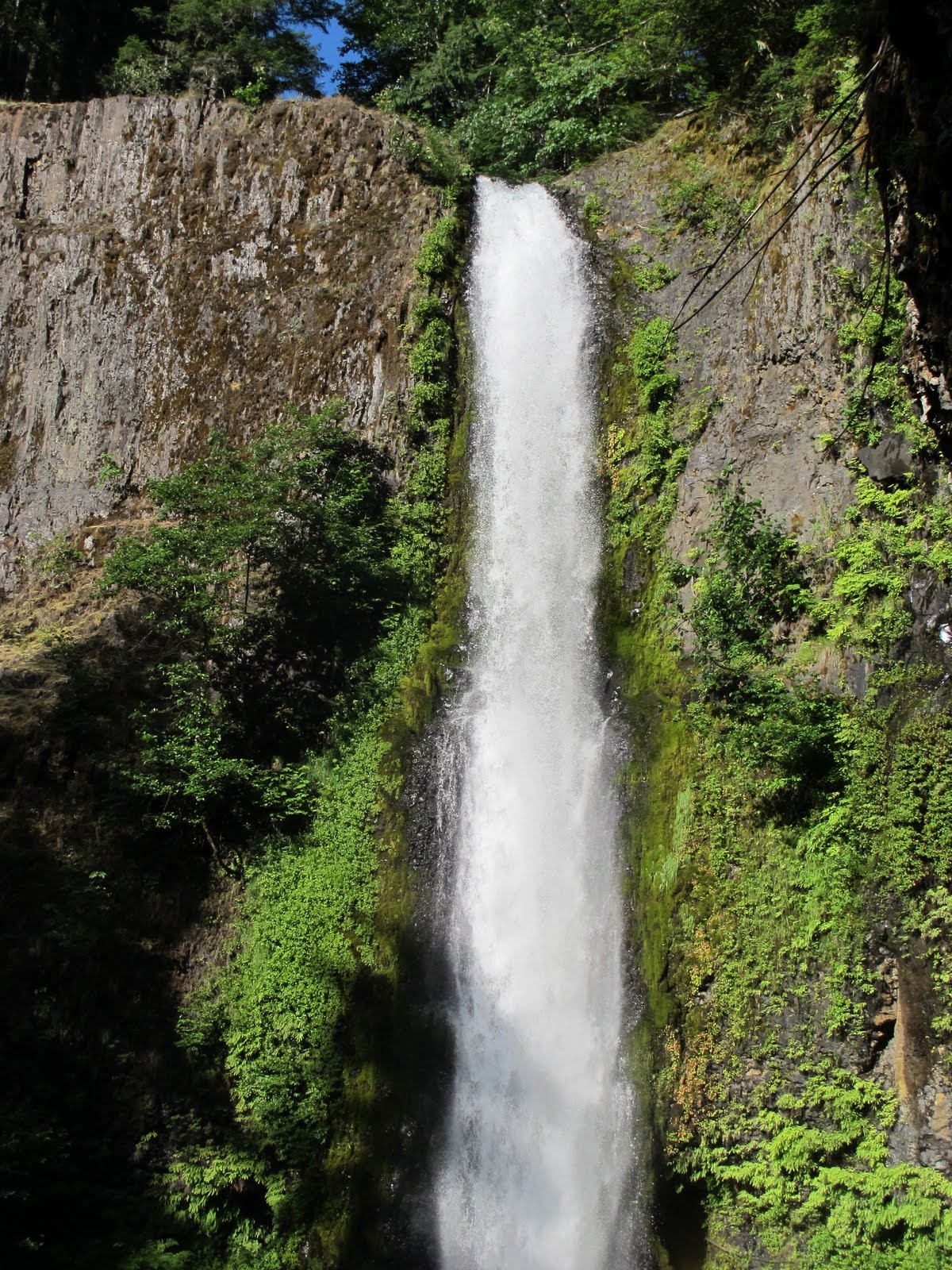 Nelda Mays Photography, Inc.: The Eagle Creek Trail, Oregon