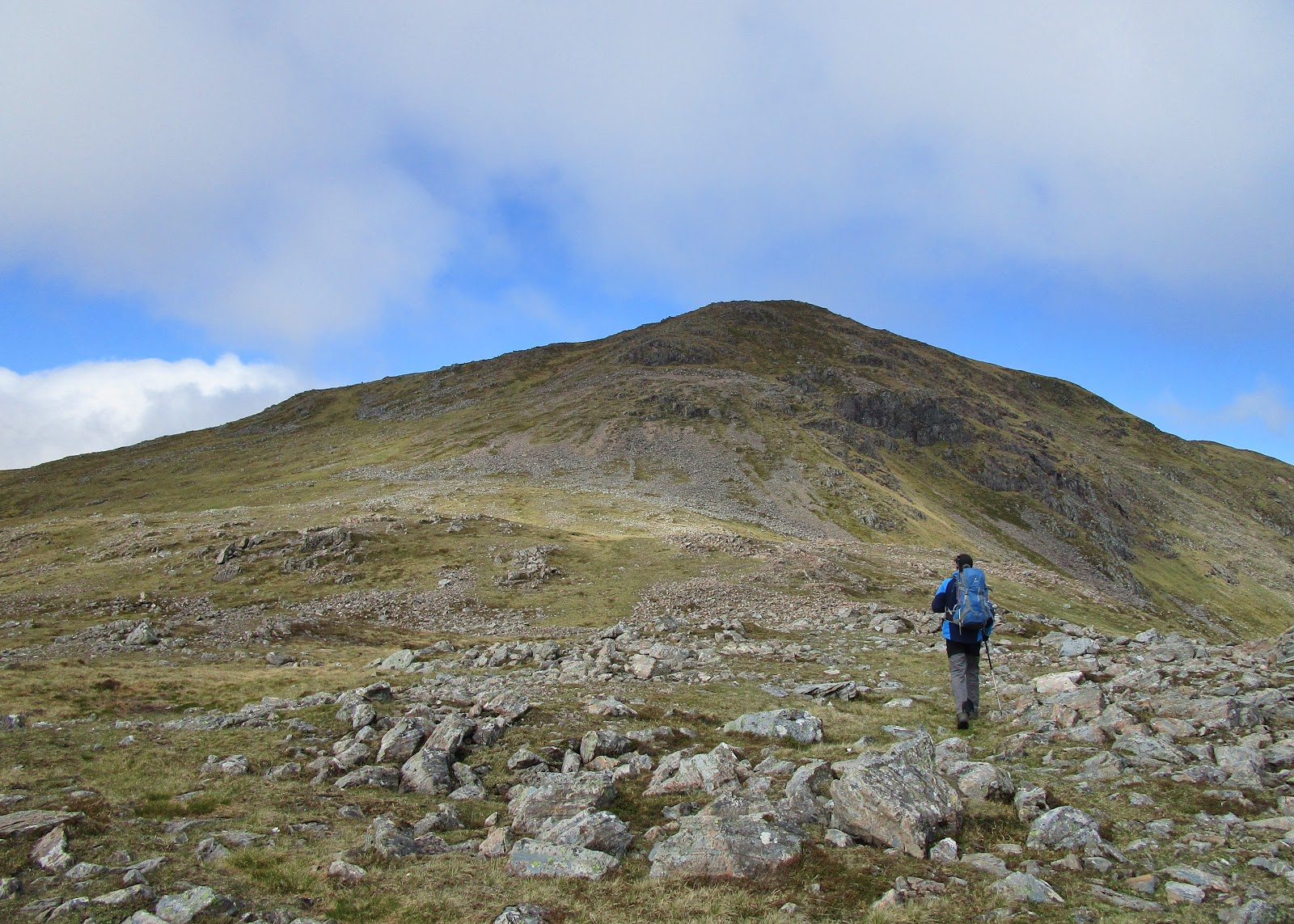 Big Gorse Bush: May 2019