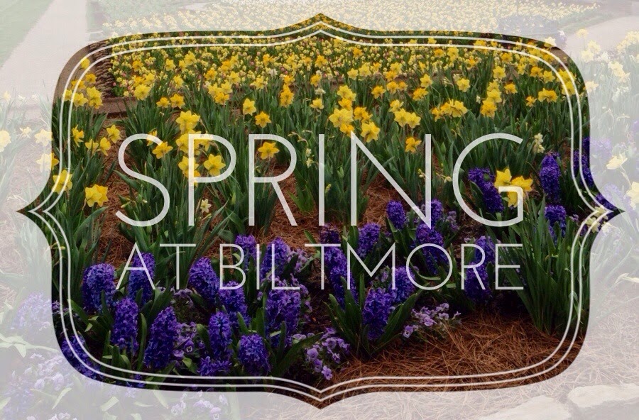 I.D. by A.B.: Spring at Biltmore