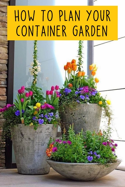 How to Plan Your Container Garden - Organic Gardening