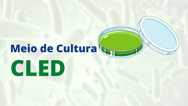 Meio de Cultura - CLED - Tira o Jaleco