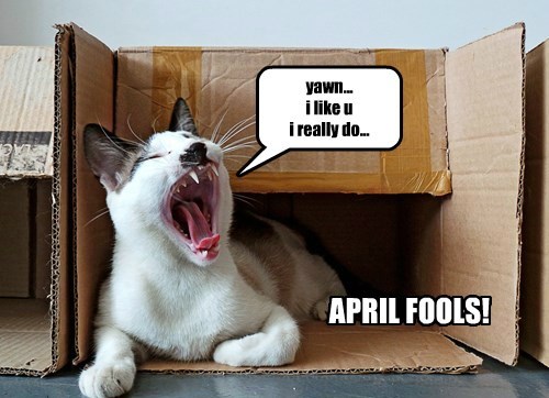 True Book Addict...Books, Cats, and More: Cat Thursday - #Cats love ...