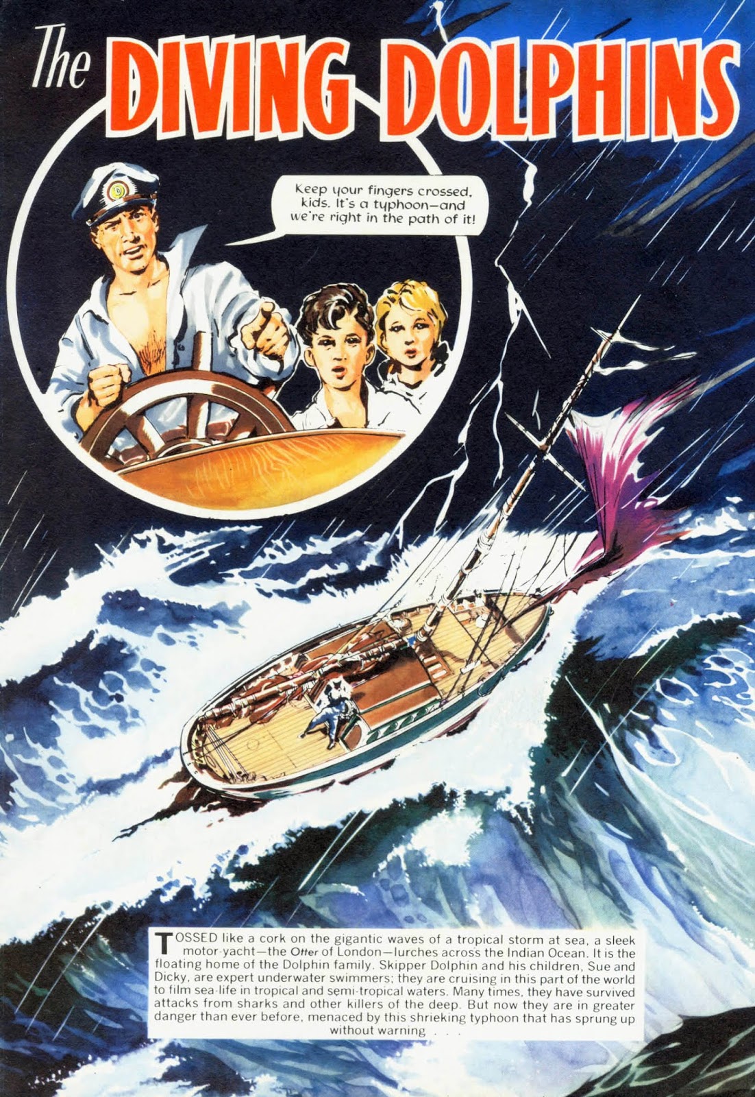 The Art of Diving: The Art of Diving with Dolphins - Double Dolphins!