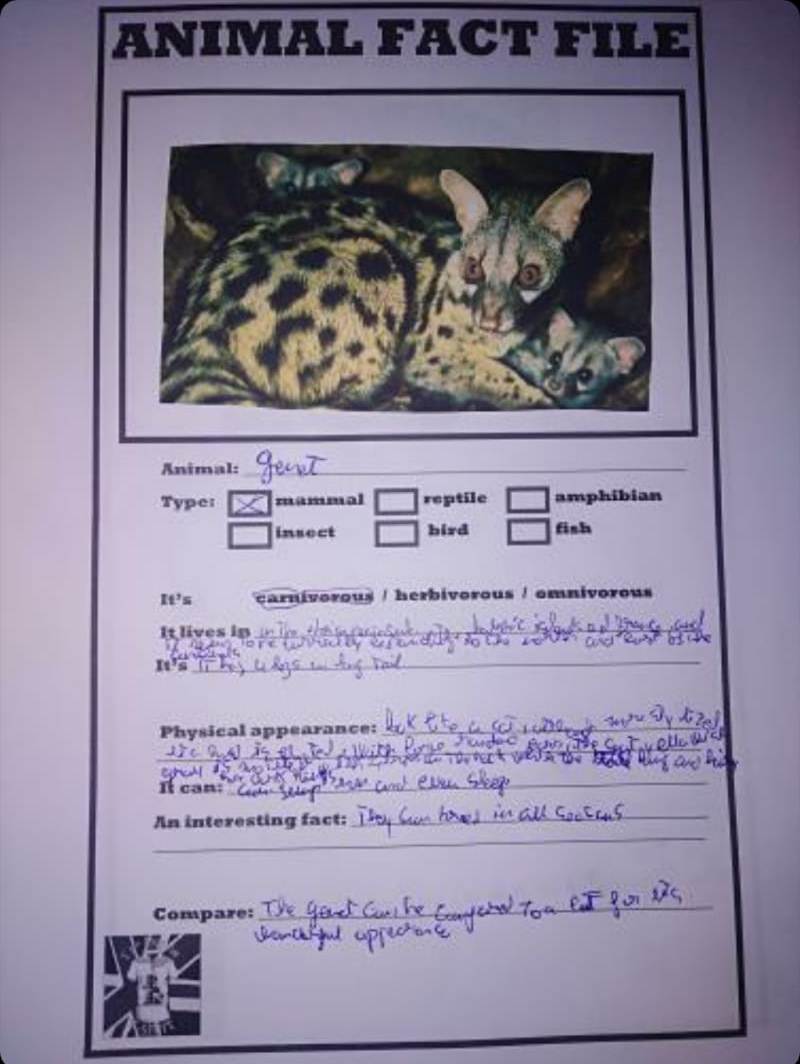 The English T-shirt: ANIMAL FACT FILES. MADE BY STUDENTS OF 1st ESO E