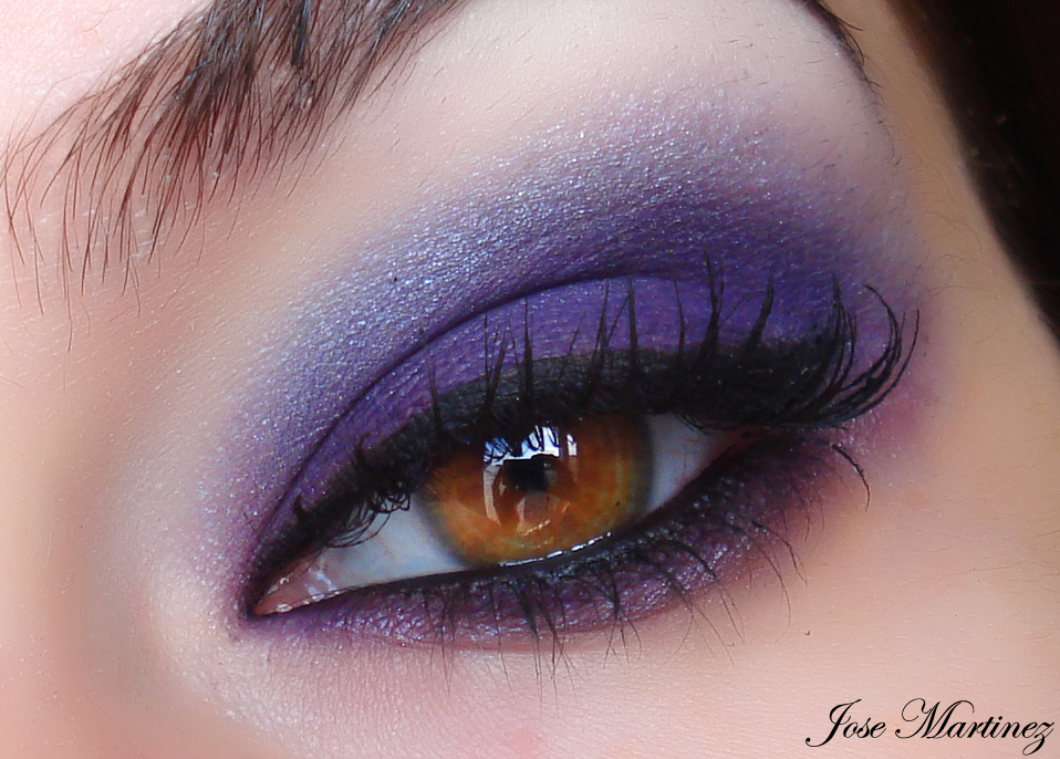 Imagenes de rrosas morados - Imagui