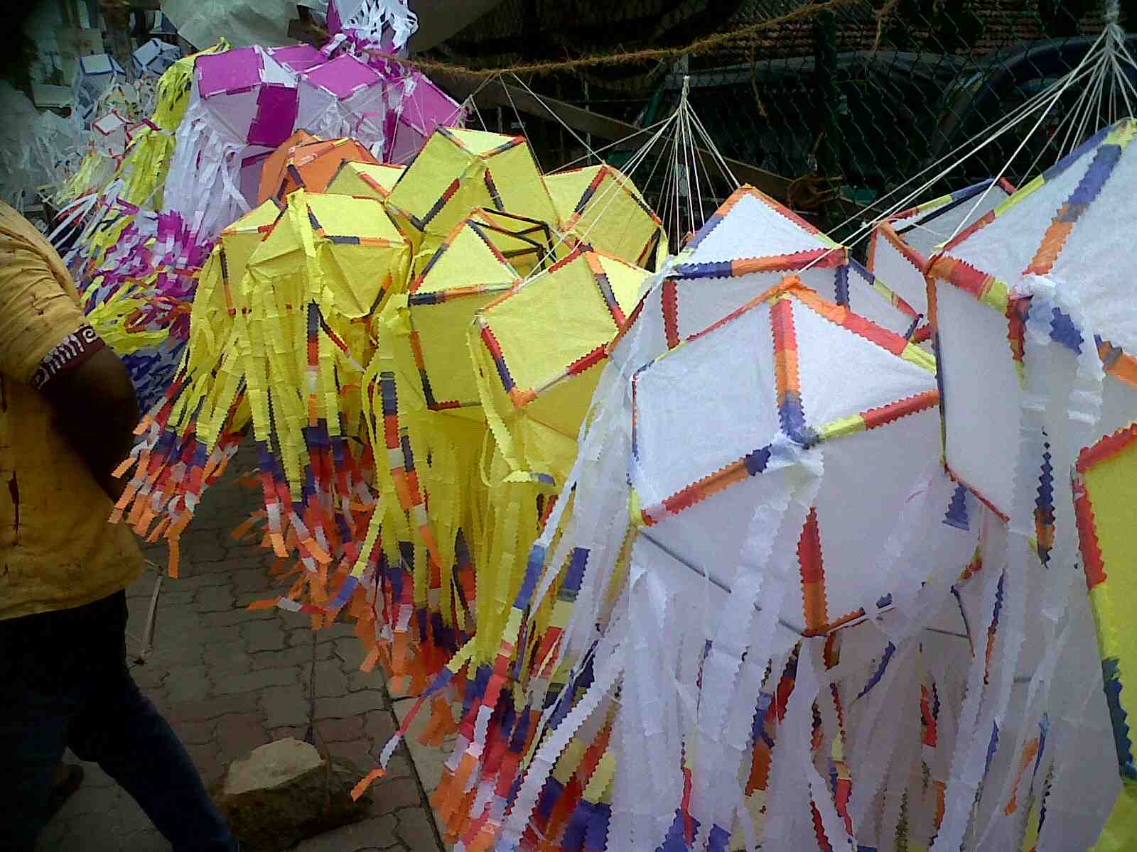 Welcome to "Kaluwagaha Watta" home stay: Vesak festival in Sri Lanka