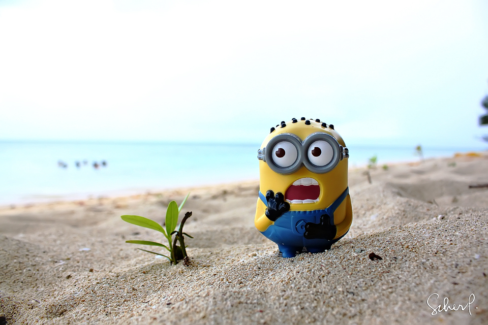 The Scared Minion - Love, Pinkcheeks