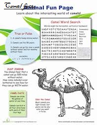 Camel Facts and Worksheets - Pet Animals