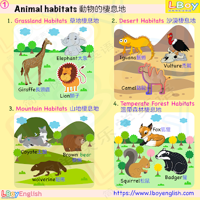Animal habitats 動物的棲息