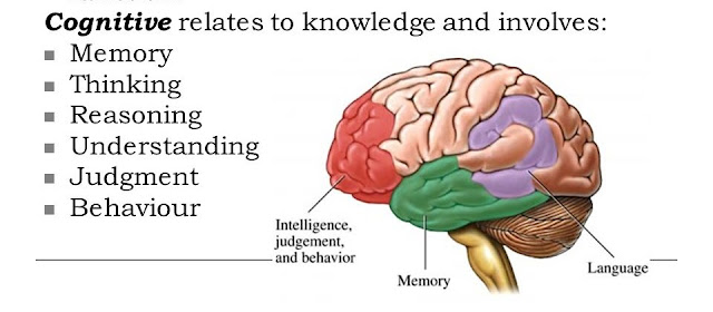 COGNITIVE FUNCTION - BRAIN