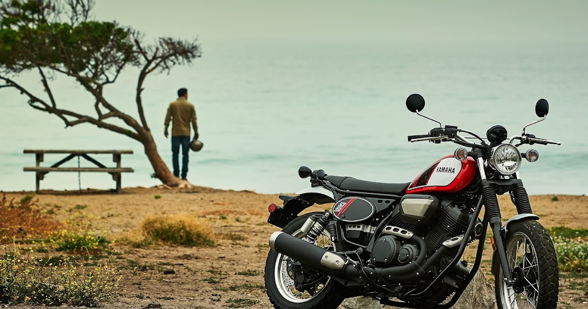 Racing Cafè: Yamaha SCR 950 2017 (Usa)