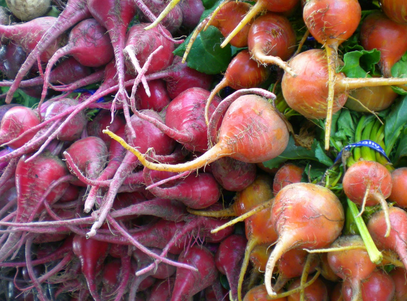 Greg's World on a Plate: My Best Marinated Baby Beets