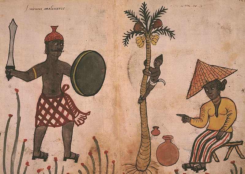 Historic Alleys: The Renegade Portuguese Moplah Corsair - Dom Pedro ...