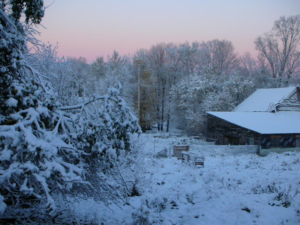 Spindrift Studio at Reindeer Station Farm: Early Snow