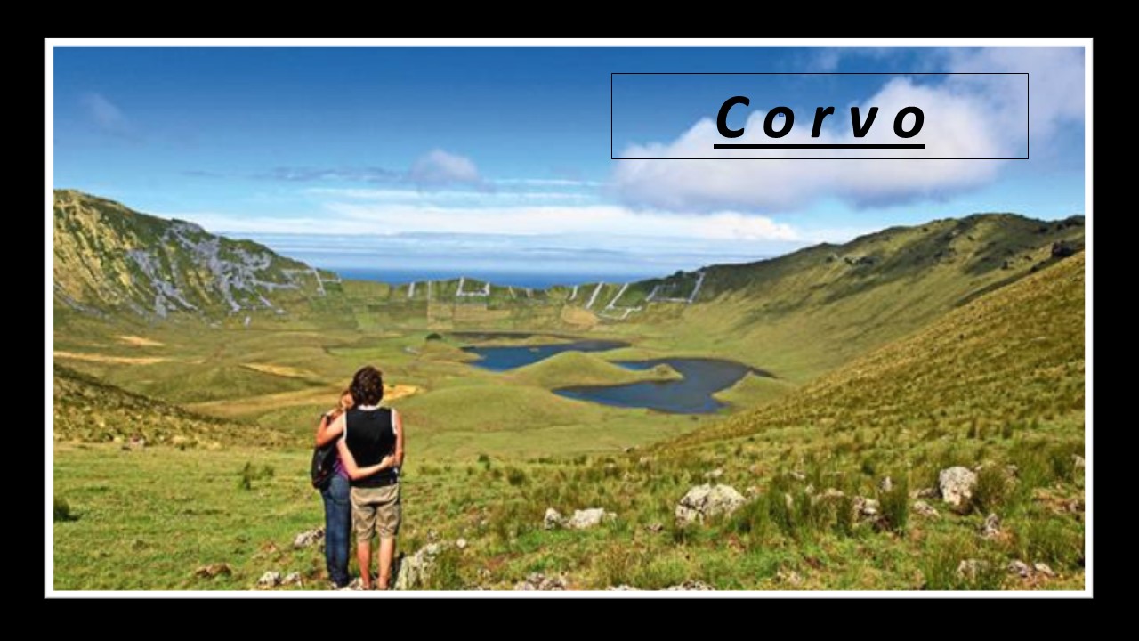 Açores 9 Ilhas 9 Pérolas: O ultimo reduto do Priolo