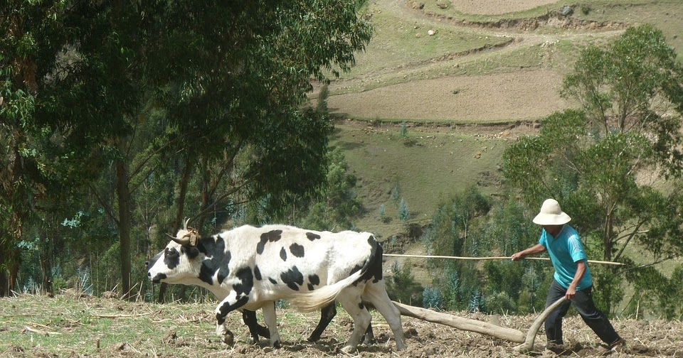 Anglicans Ablaze: Sola Fide and the Mission of the Church