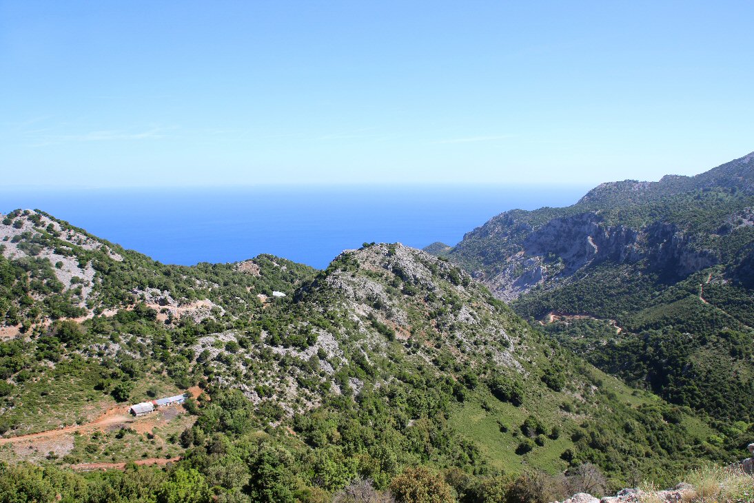 fourmis de Grèce: Eubée