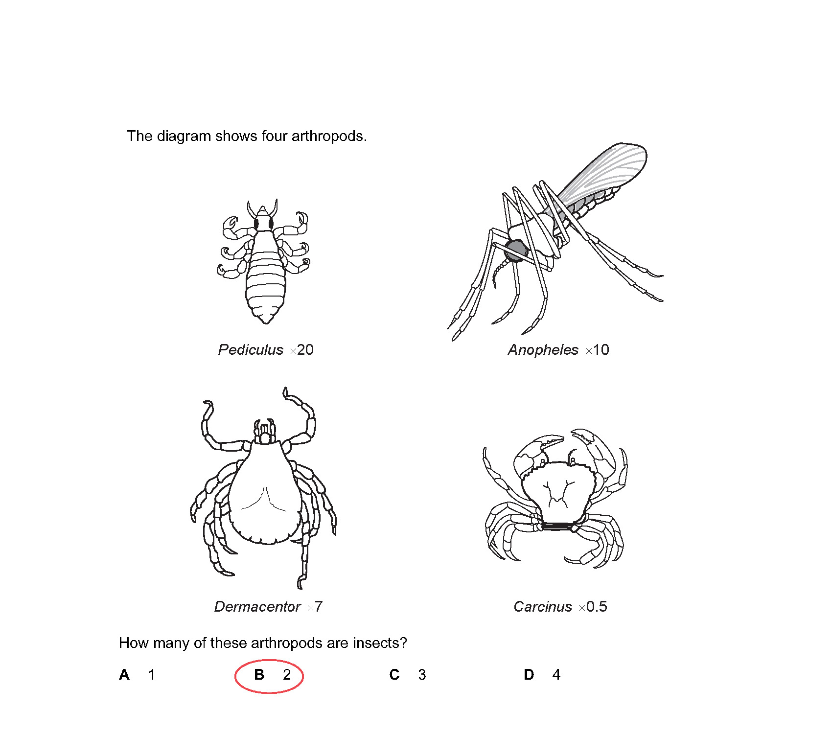 Characteristic and Classification of Living Organisms Paper 2 Solved ...