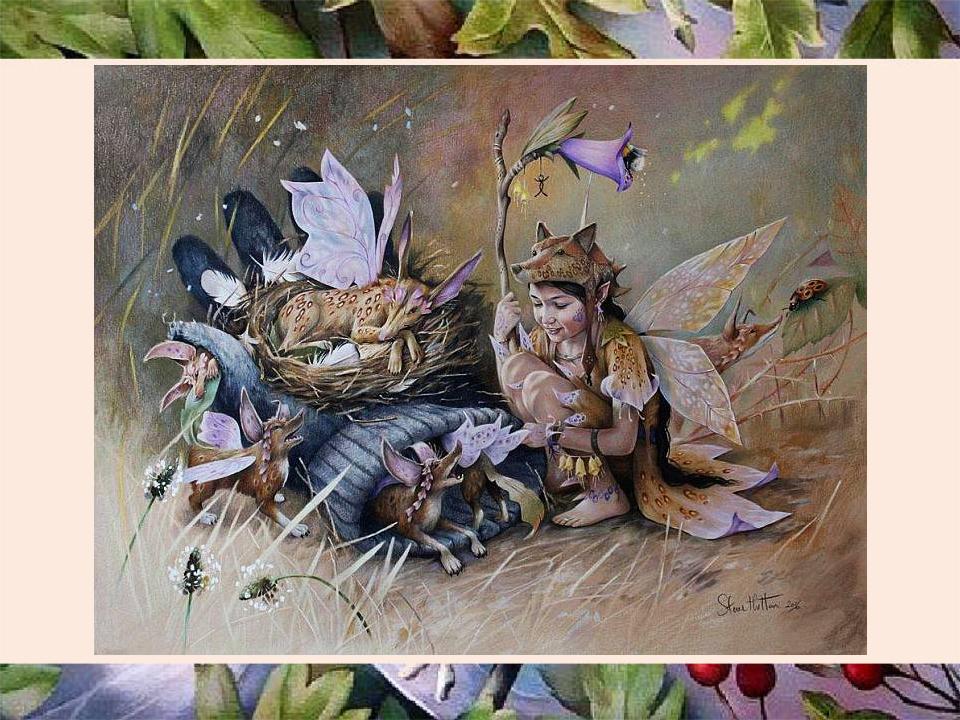 Soloillustratori: Steve Hutton