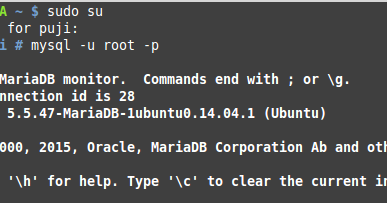 Database Rumah Sakit menggunakan MySQL | pujilestari