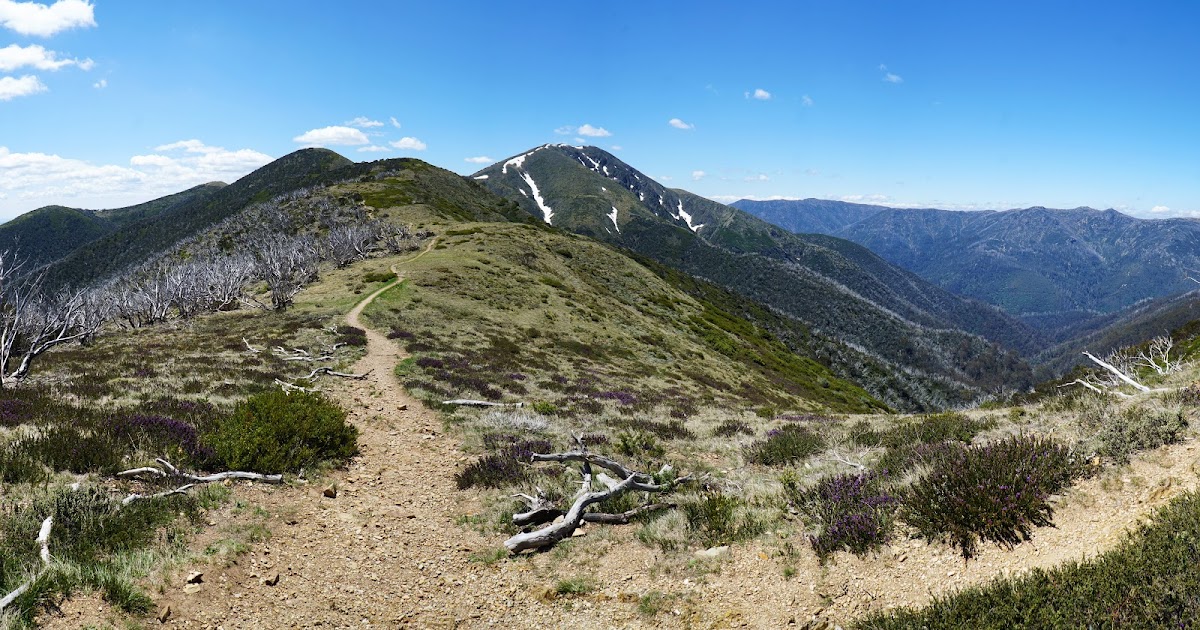 Mt Feathertop via the Razorback (Alpine NP) ~ The Long Way's Better