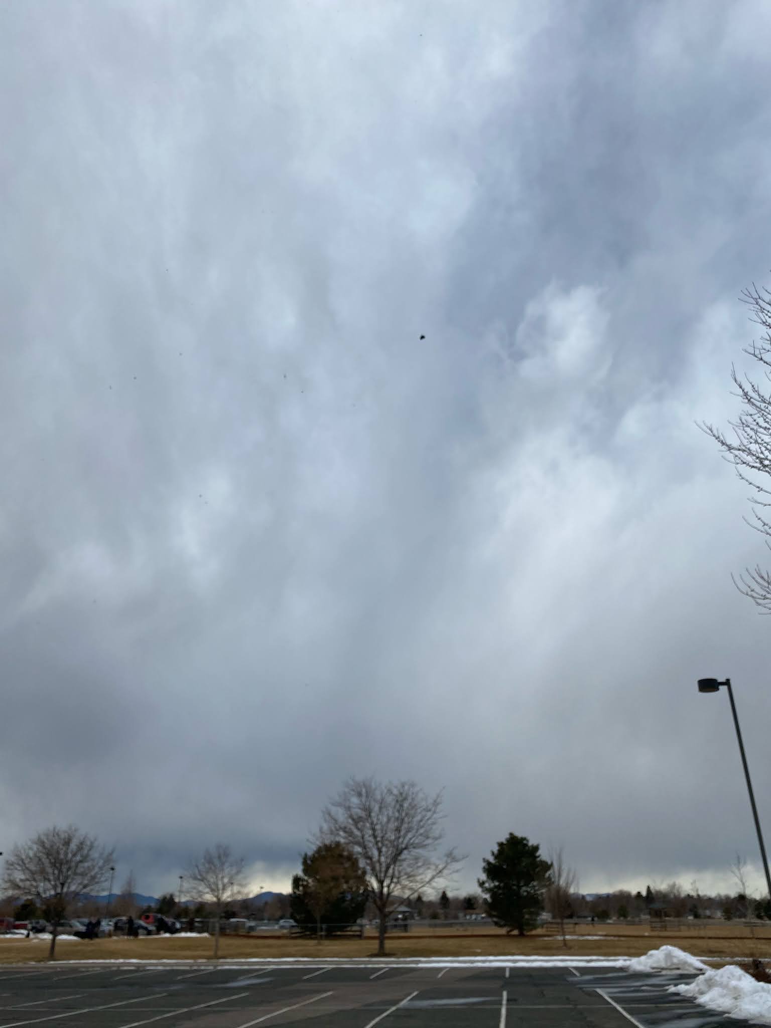 Kathryn's Report: 02/20/21