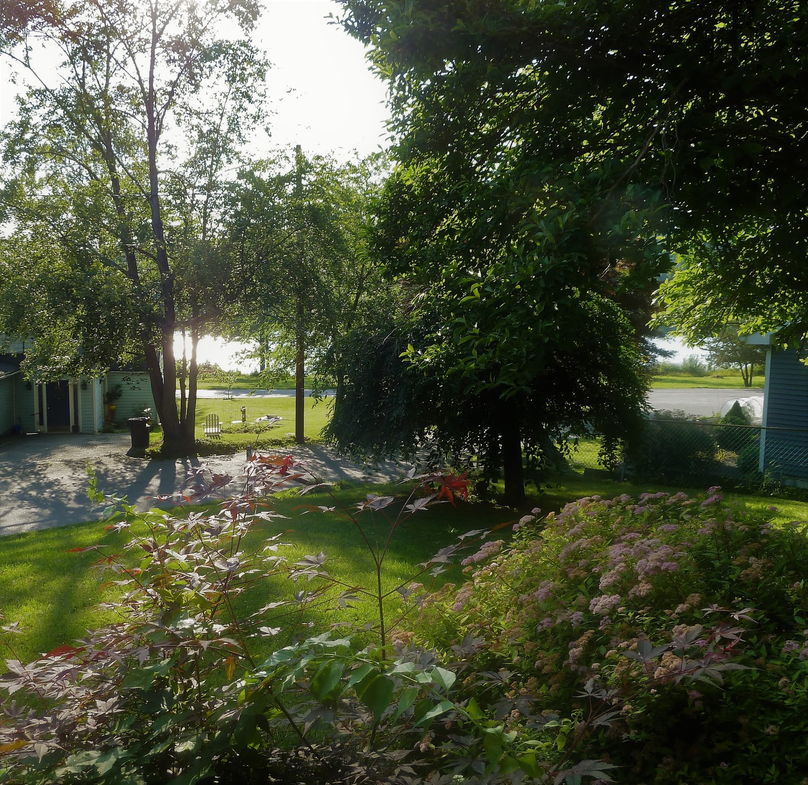 Bat Detector Reviews: Review Of The Anabat Swift Bat Detector from ...