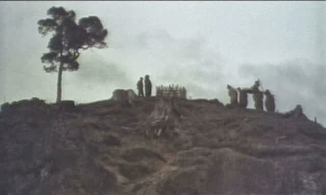 Film Walrus Reviews: Film Atlas (New Zealand): Utu