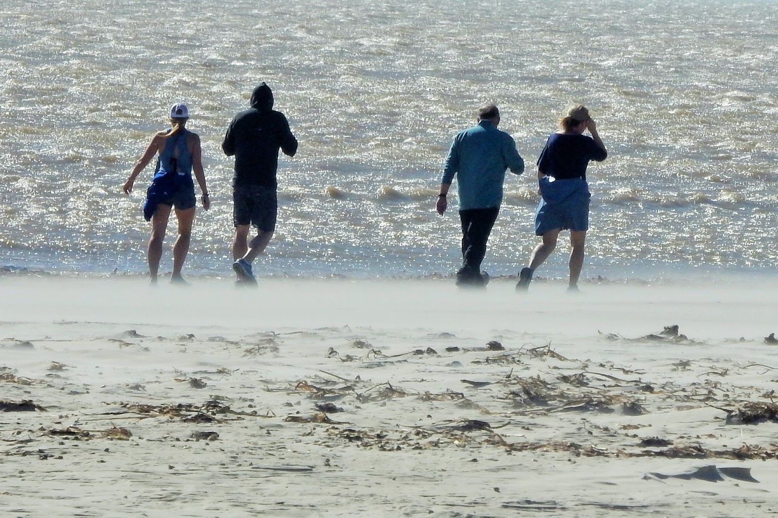 Malachi Farkley: January 23, 2017. A Very Windy Day.