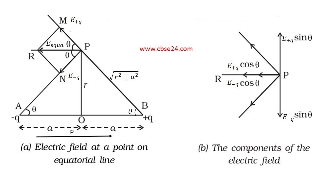 Electric Field at an Equatorial Point of a Dipole | cbse24.com