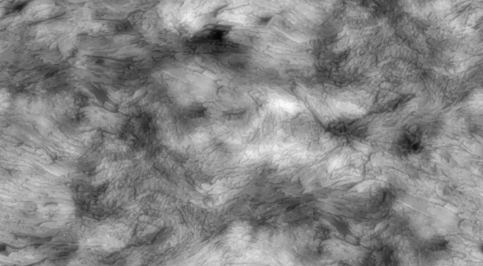 Seamless Tree Bark Texture + (Maps) | Texturise Free Seamless Textures ...