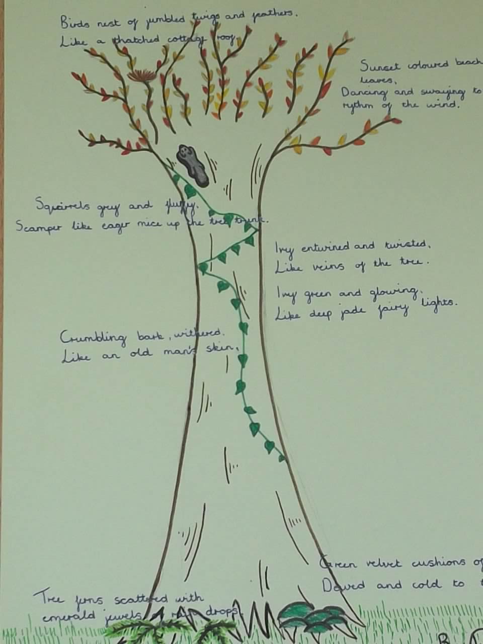 Green thoughts in a green shade: poetry from Trebah Garden