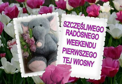 DLA KAŻDEGO: WEEKEND