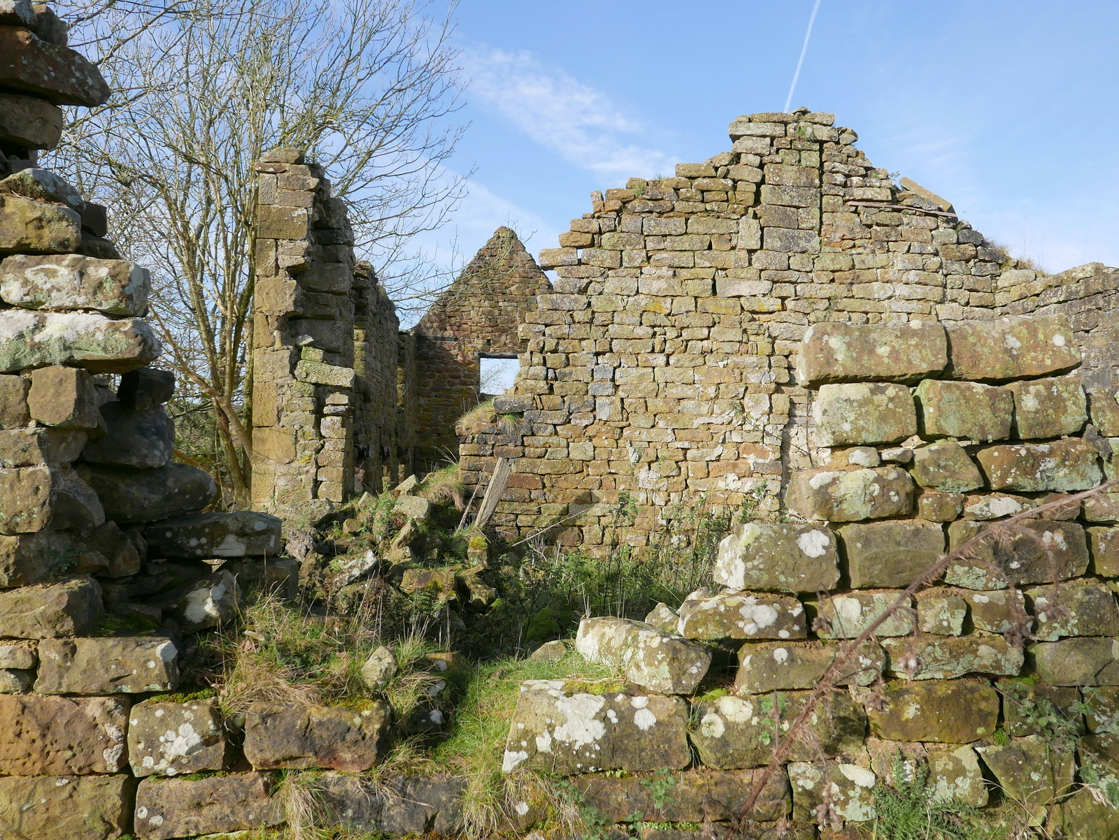 Walking in North Yorkshire
