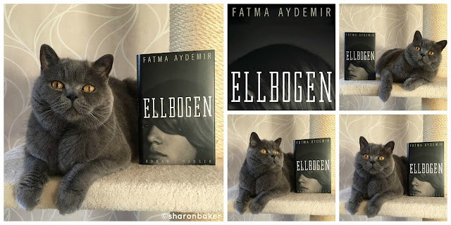 sharon.baker liest...: Rezension: Fatma Aydemir * Ellbogen