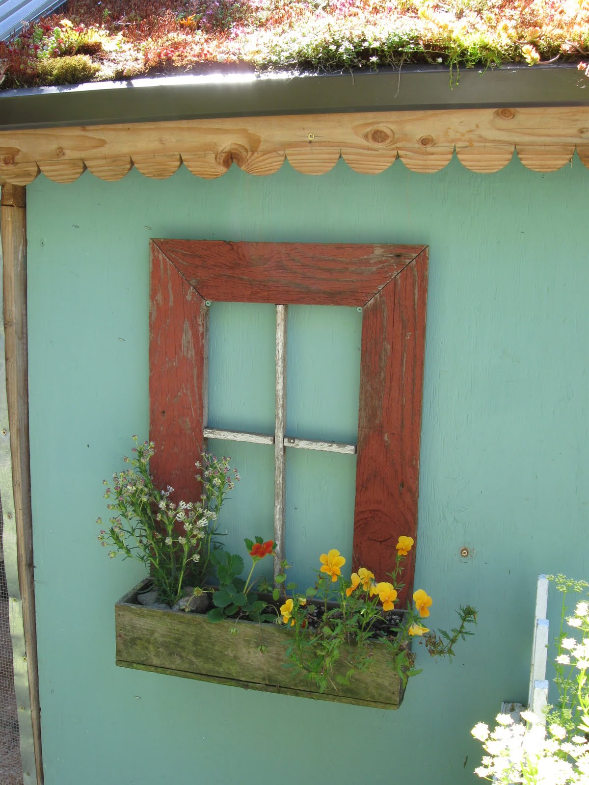 Joanie's in the Garden: Seattle Tilth's Chicken Coop/Urban Farm Tour