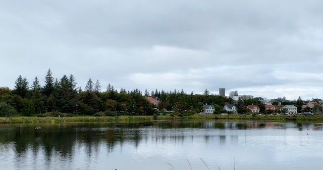 Cuina Cinc: Islàndia - Iceland - Salt Fisk Vika -1-