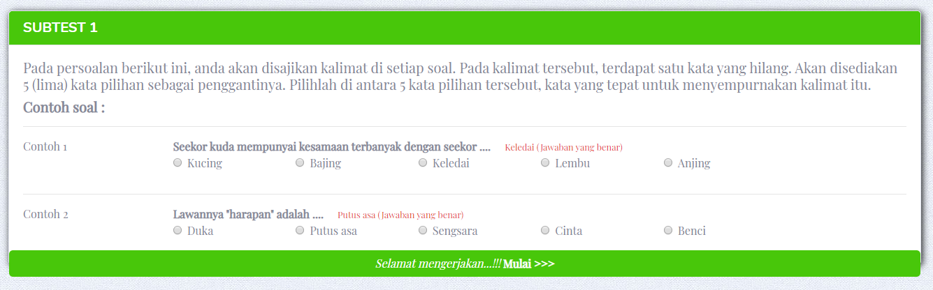 TES IST (Intelligenz Struktur Test) Online