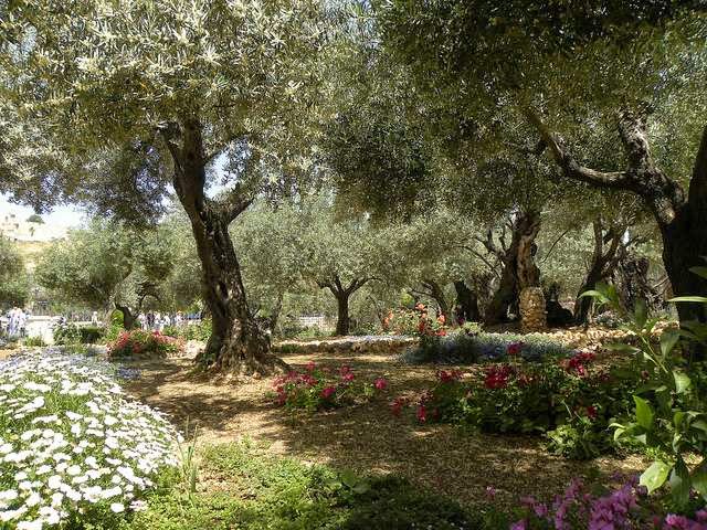 Two Gardens: Eden and Gethsemane