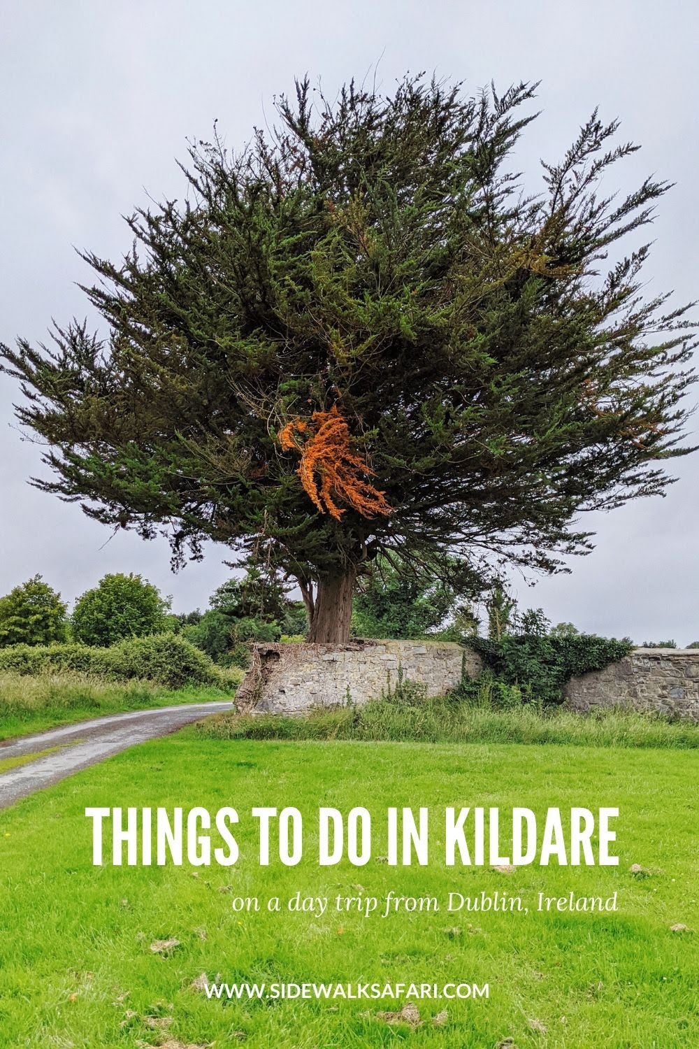 The Best Things to do in Kildare on an Ireland Staycation