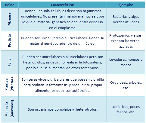 Los Seres Vivos: Clasificación en Reinos