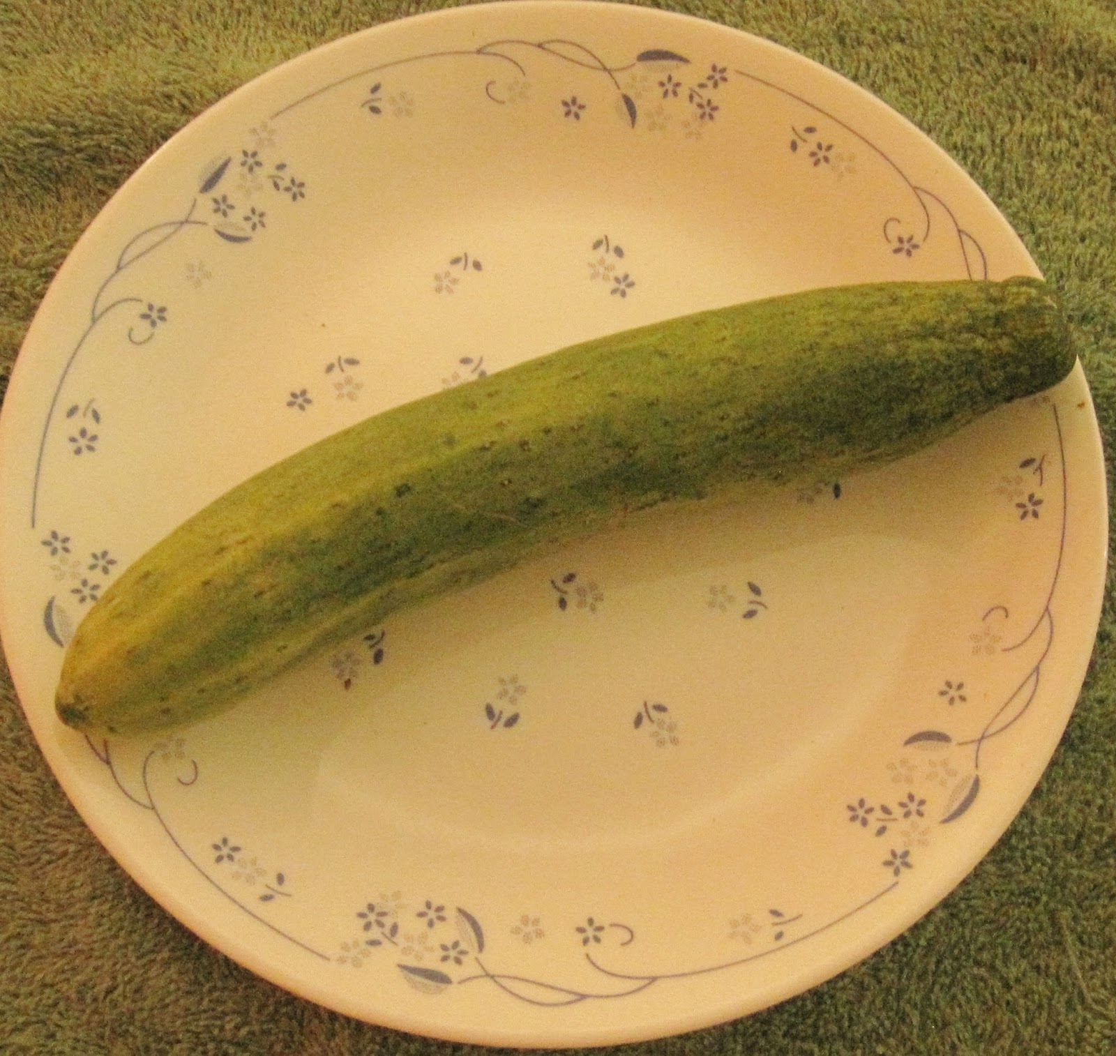 Sita's Ruchulu: Kheera perugu pacchadi (Kheera raita) Cucumber in yogurt