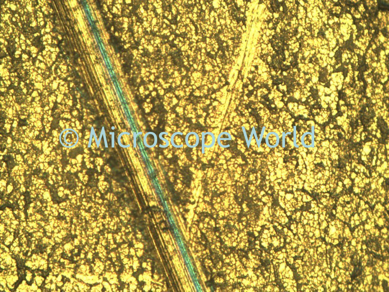 Microscope World Blog: Metals Under the Microscope