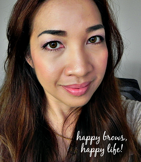 My Updated Eyebrow Routine Using Anastasia Dip Brow Pomade (Dark Brown ...