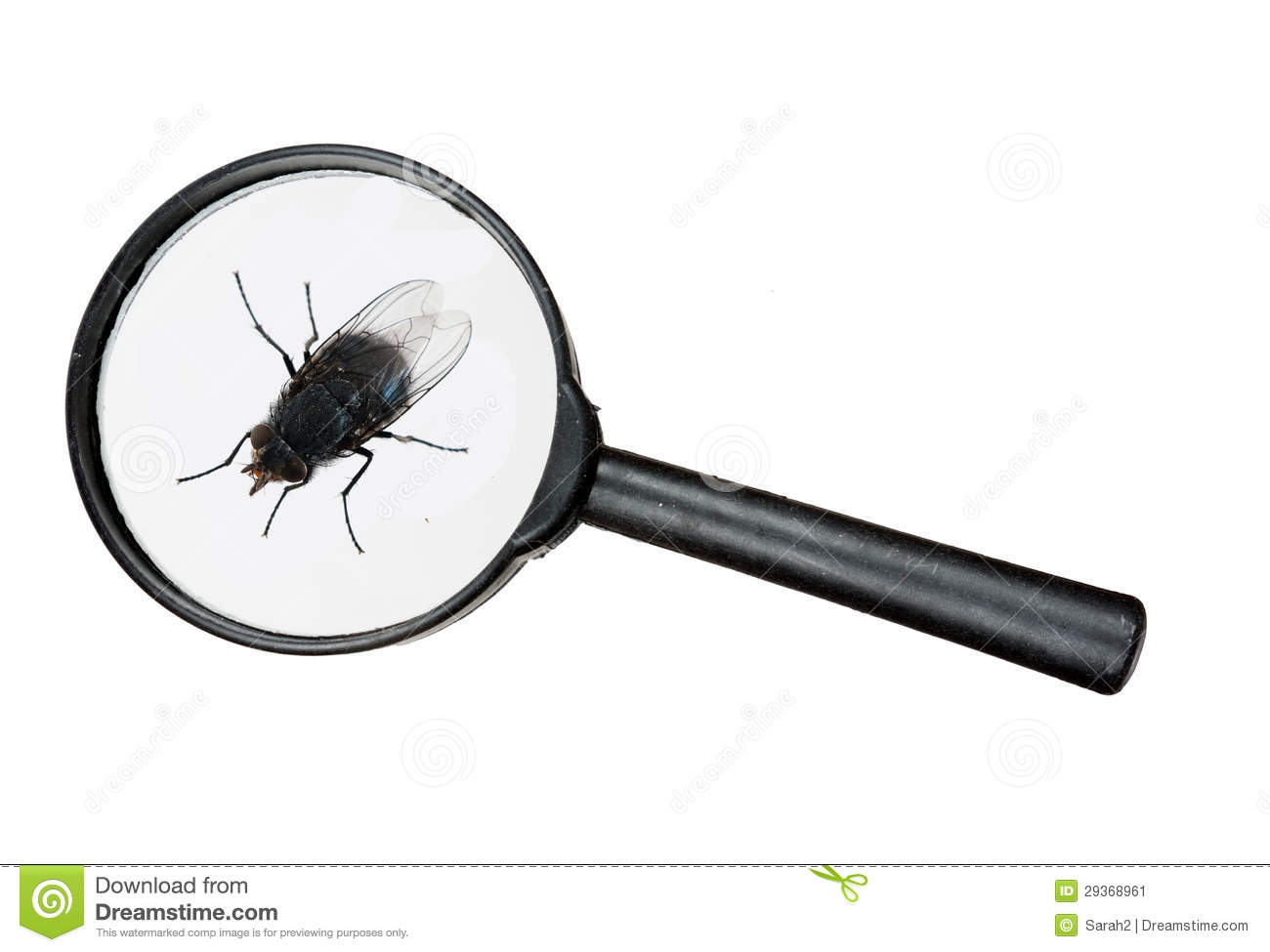 Trabajando con Recursos de Aprendizajes: Recursos del área de Ciencias ...